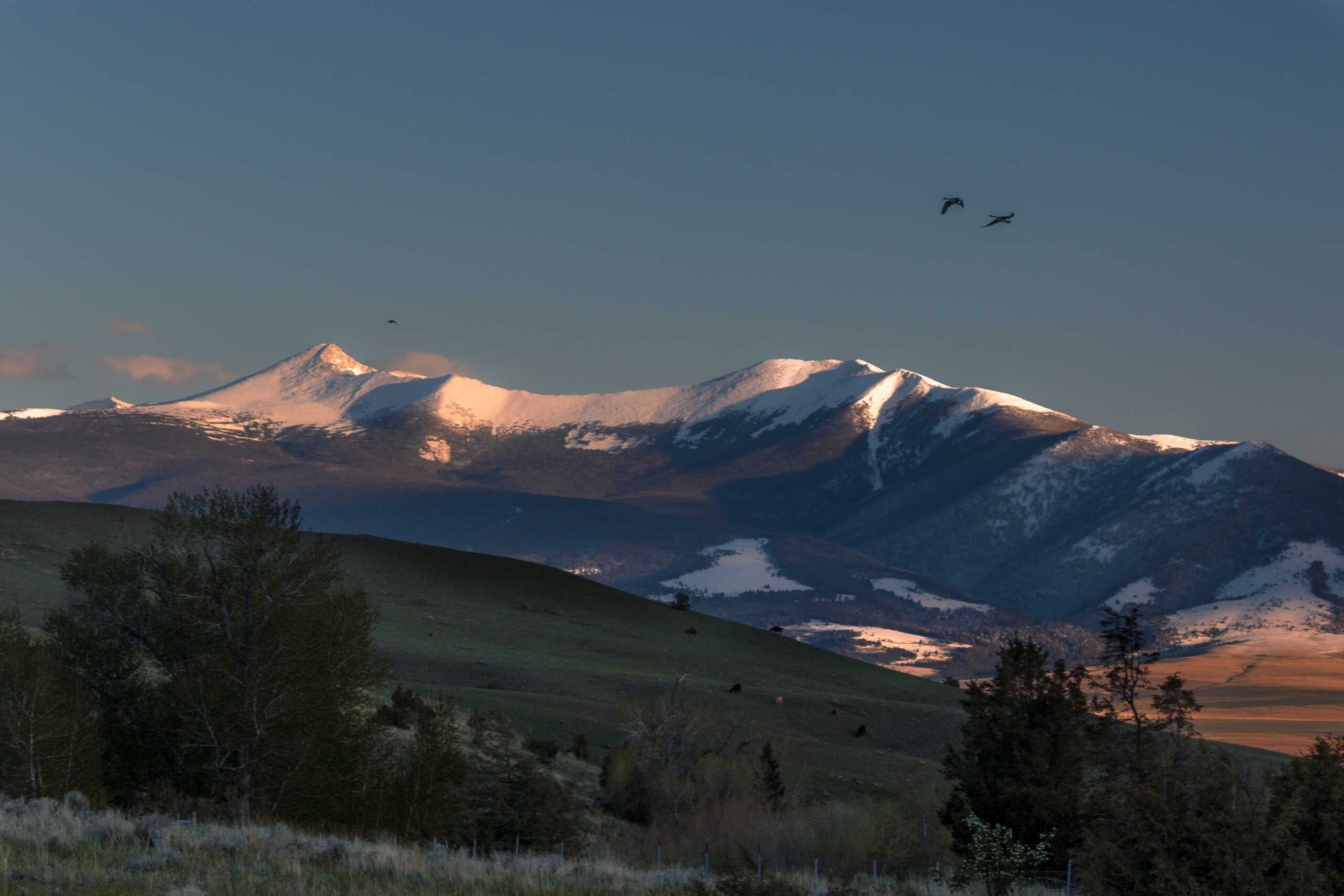 Upper Clark Fork - Clark Fork Coalition