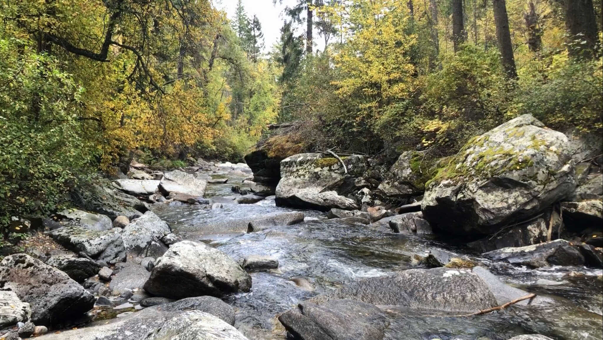 Water Management - Clark Fork Coalition