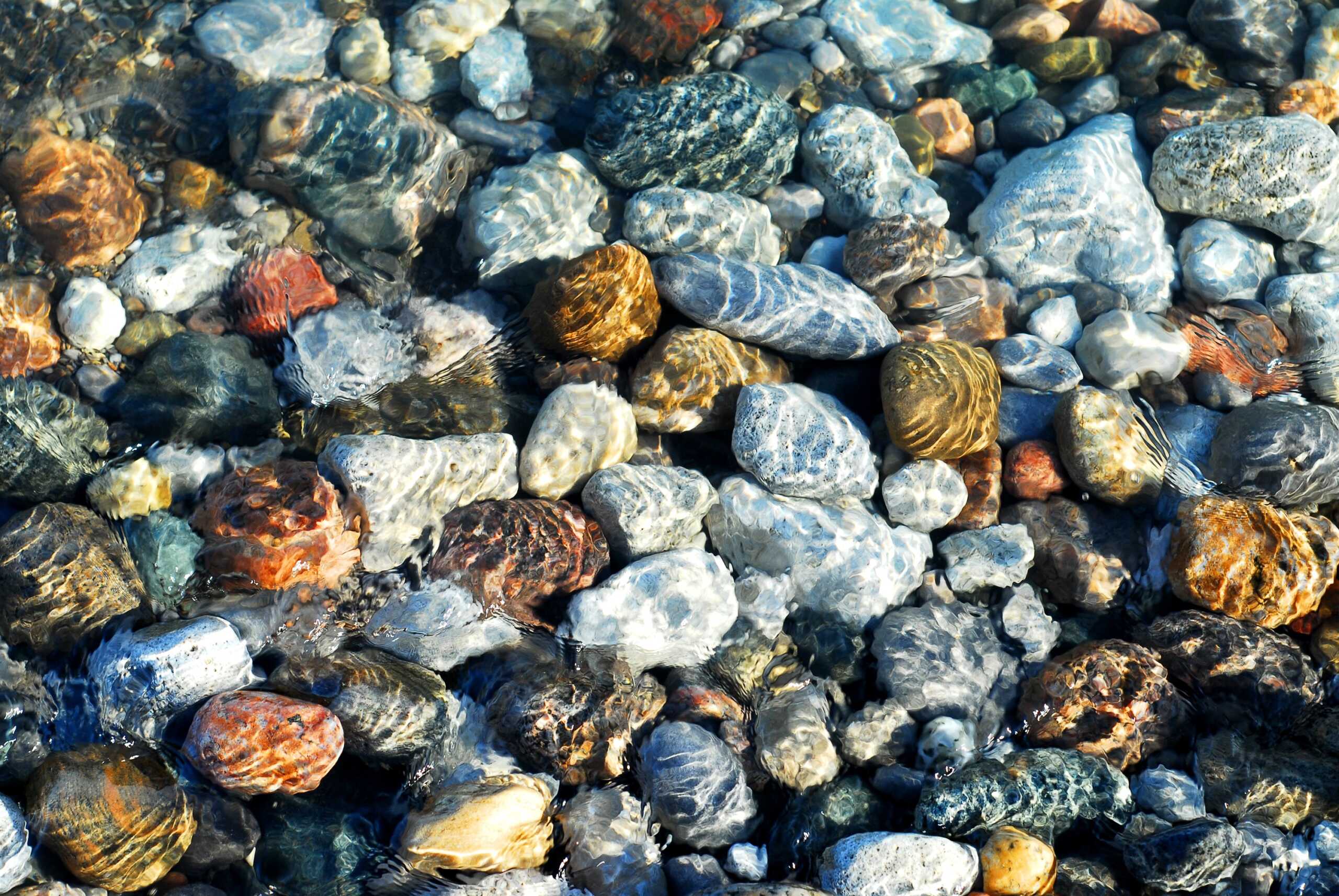 Resources - Clark Fork Coalition