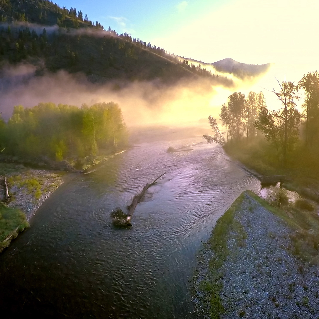 Home - Clark Fork Coalition